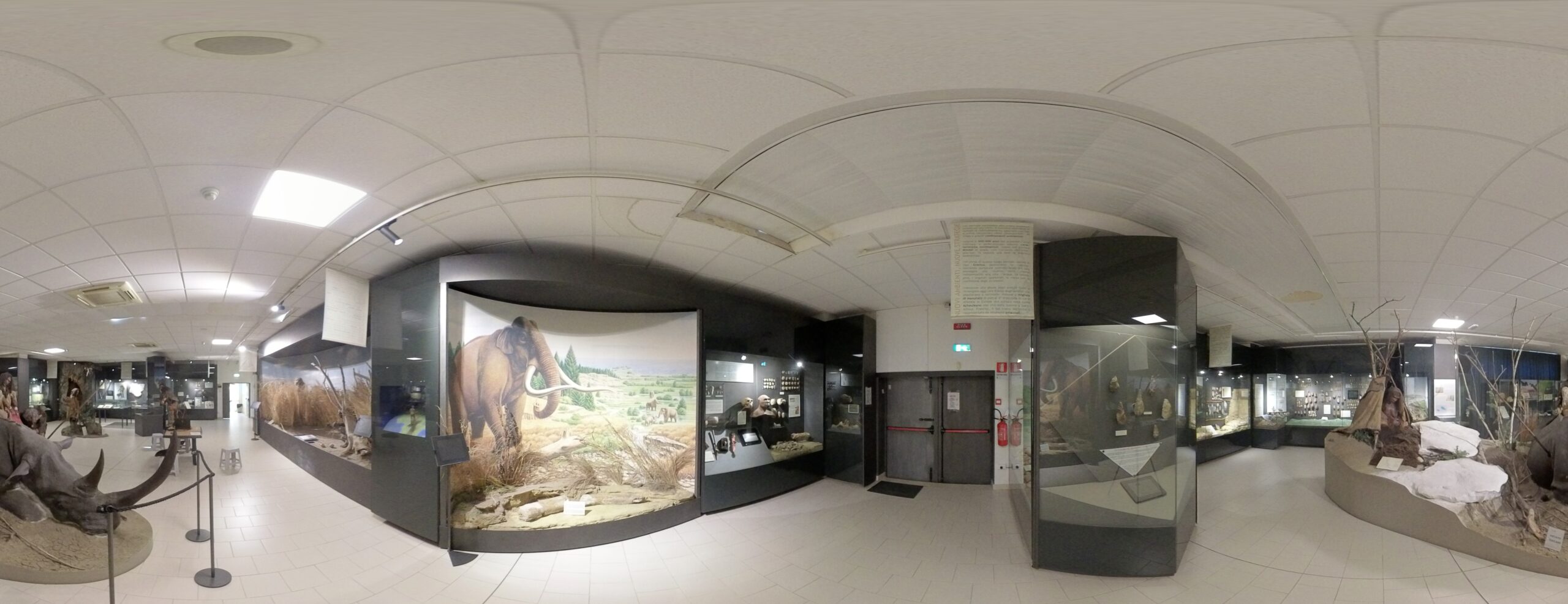 LUIGI DONINI MUSEUM OF PREHISTORY - VIGEA